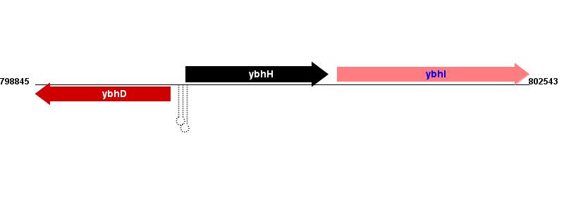 Figure courtesy of RegulonDB