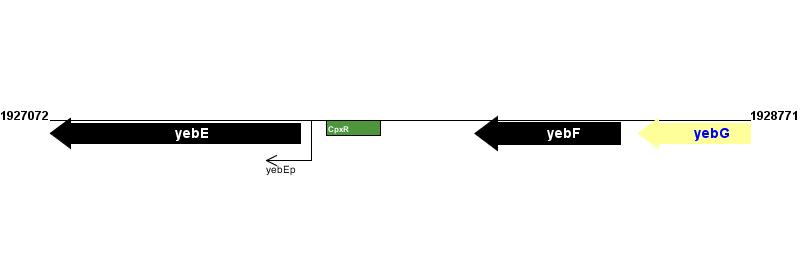 Figure courtesy of RegulonDB