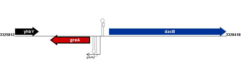Figure courtesy of RegulonDB