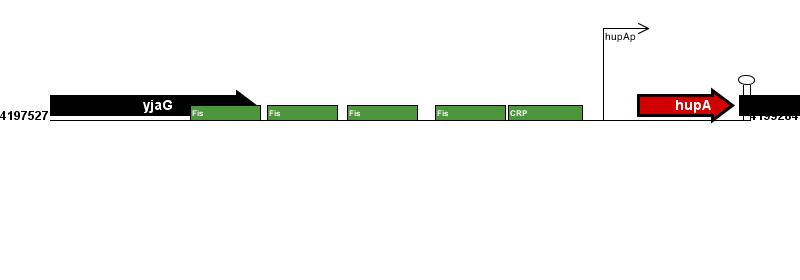 Experiment(s):EBI-886936, EBI-884958