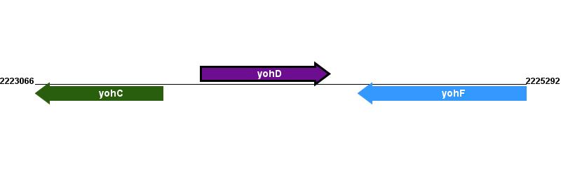 Figure courtesy of RegulonDB