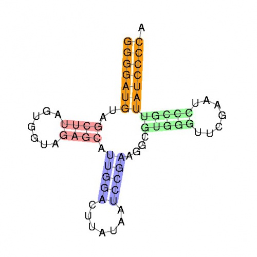 Image courtesy of Rfam