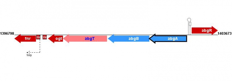 Figure courtesy of RegulonDB