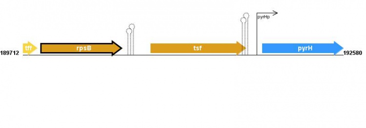 IEA: Inferred from Electronic Annotation